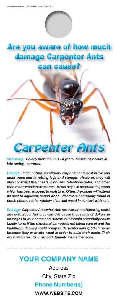 8233 - Ant Door Hanger - Crownmax.com